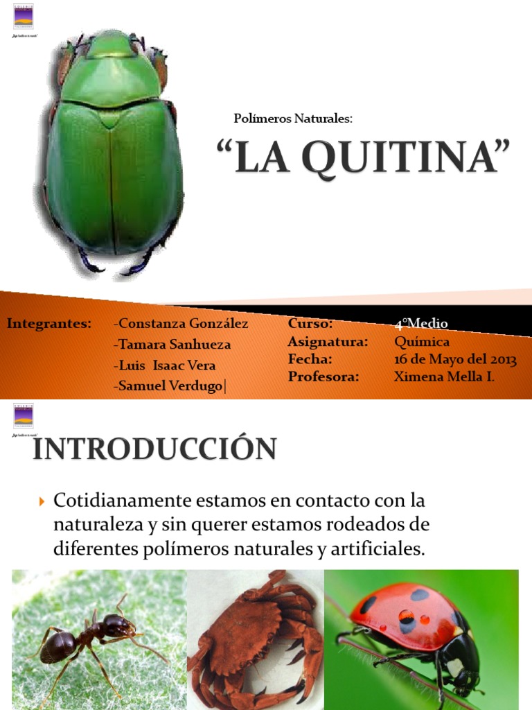 Propiedades y usos de la quitina | PDF | Ciencia y matemáticas