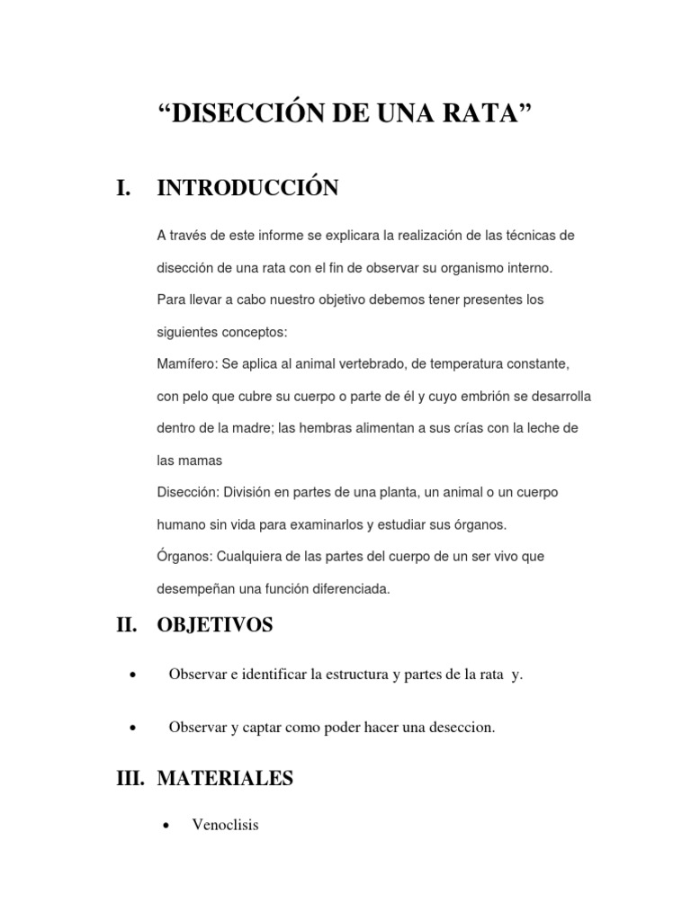 Diagrama De Disección De Cerebro De Rata