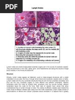 Kelly Kennedy Lymphatic Lessons | PDF | Lymphatic System | Lymph