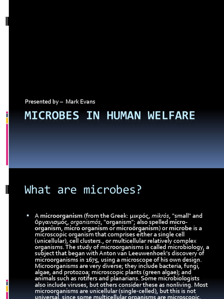Project On Microbes in Human Welfare | PDF | Microorganism | Fermentation