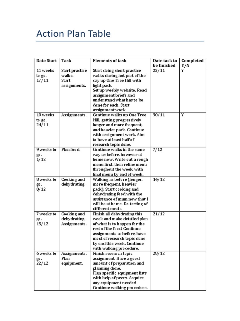 Action Plan Table | PDF