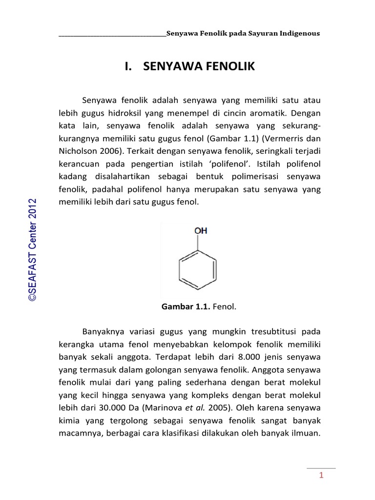 1 Senyawa Fenolik | PDF