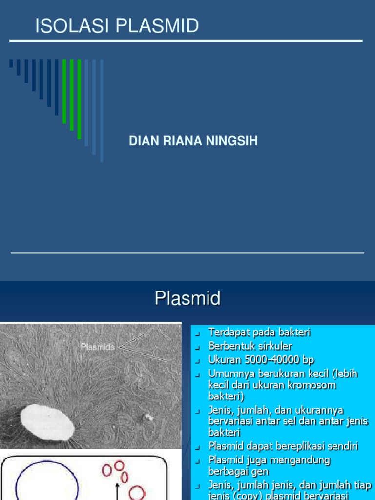 Isolasi Plasmid | PDF