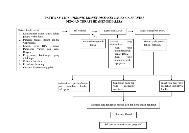 Pathway CKD | PDF