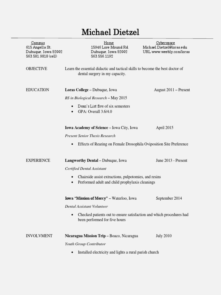 Michael Dietzel's Dental Career Overview | PDF