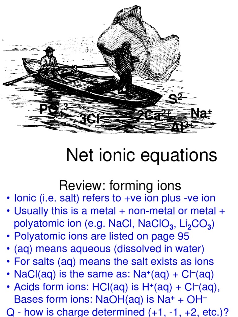 Net Ionic Equations Guide | PDF | Ion | Ionic Bonding