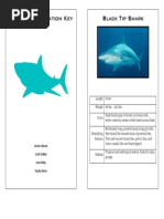 NOAA Shark Identification Placards | PDF | Sharks | Vertebrates