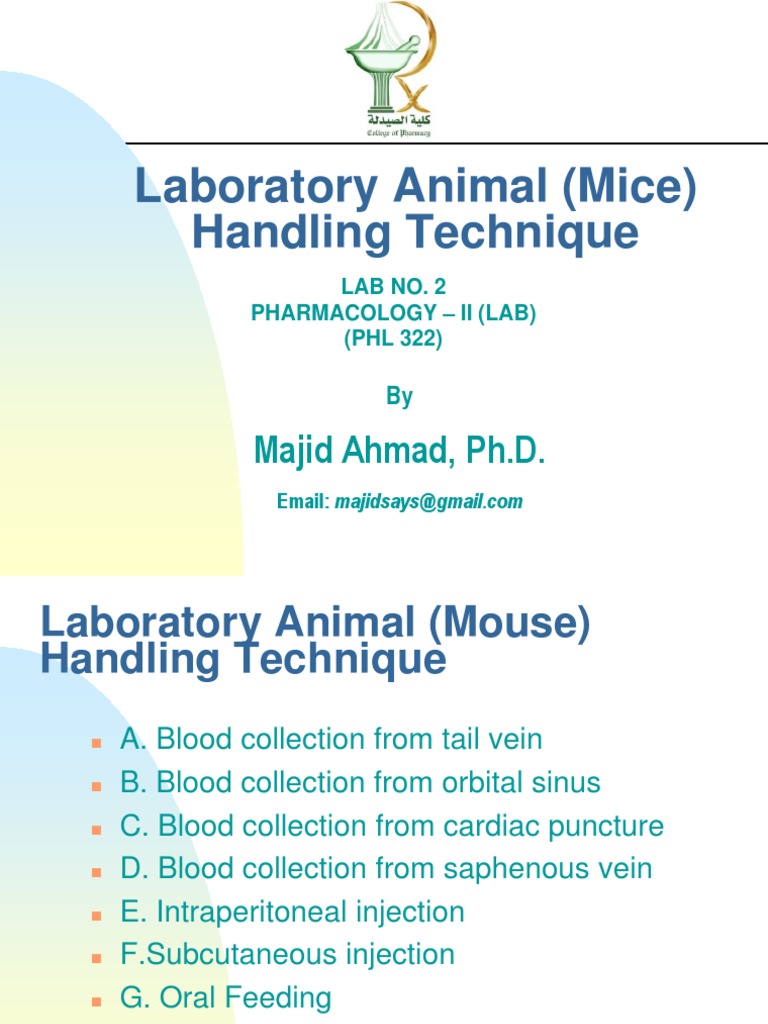 Lab Techniques in Mice | PDF | Syringe | Injection (Medicine)