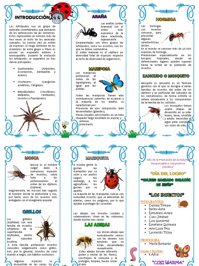 TRIPTICO INSECTOS