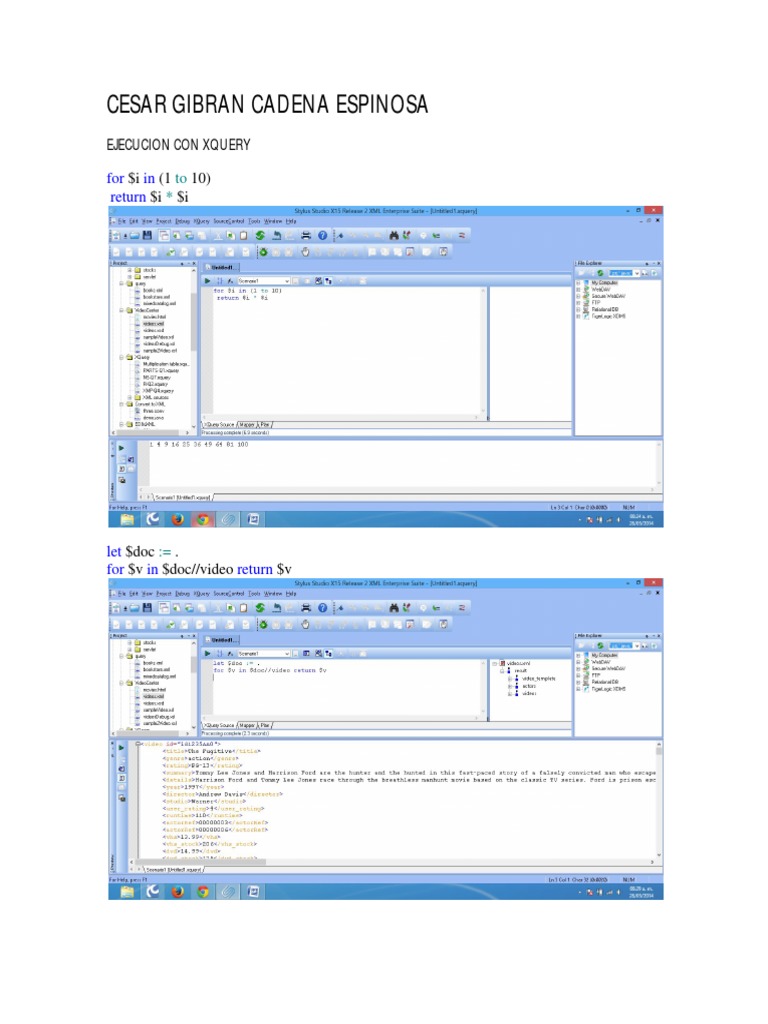 XQuery and XPath Execution Guide | PDF | Leisure
