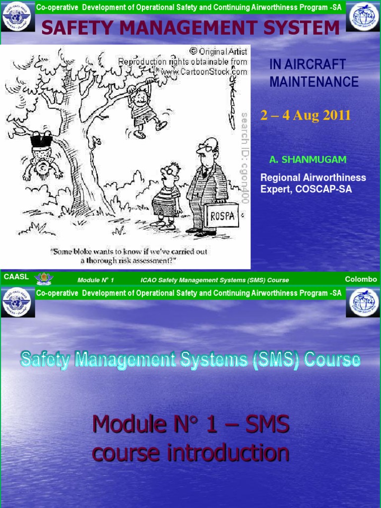 ICAO SMS Course Introduction | PDF | Aviation | Business