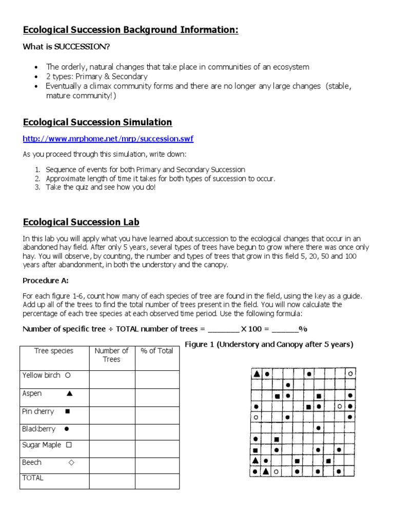 Ecological Succession Lab With Trees and Graphing 1-1 | PDF | Trees | Beech
