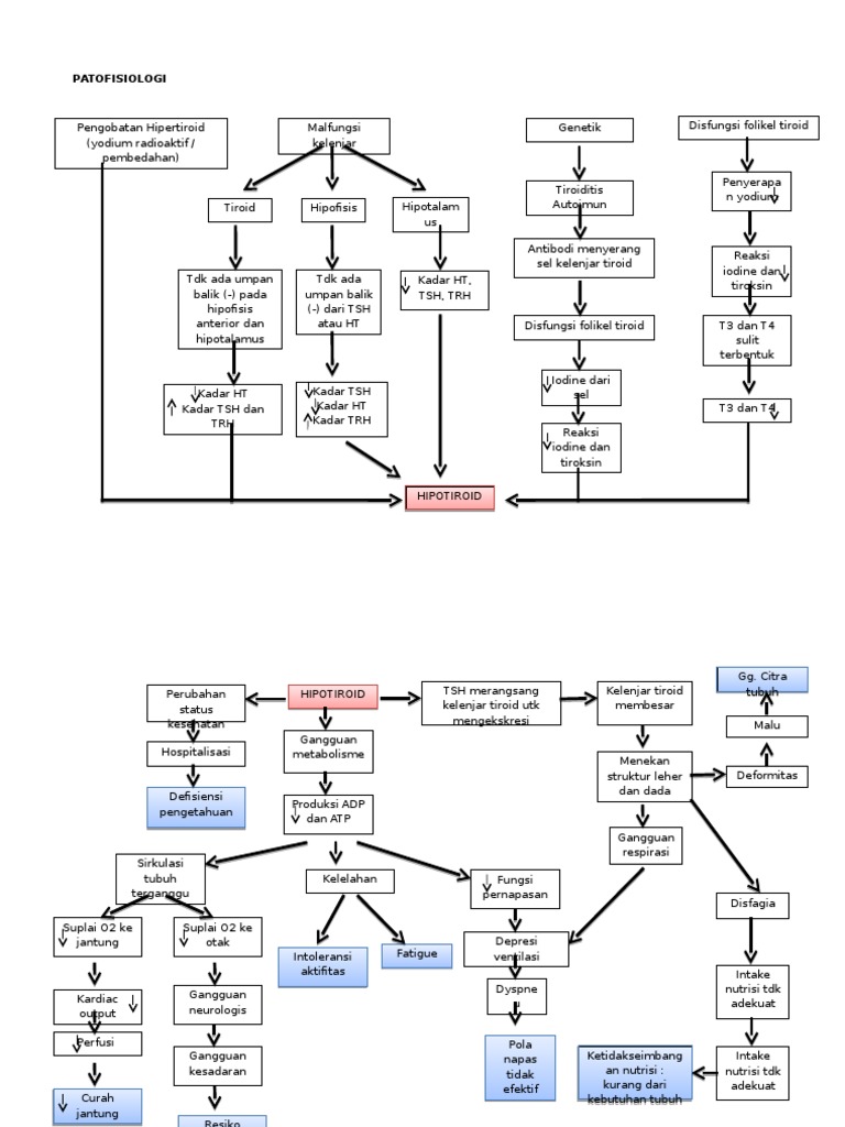 PATOFISIOLOGI Hipotiroid | PDF