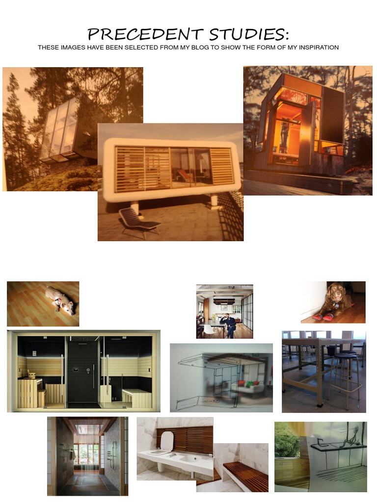 Precedent Studies | PDF | Self-Improvement | Science & Mathematics