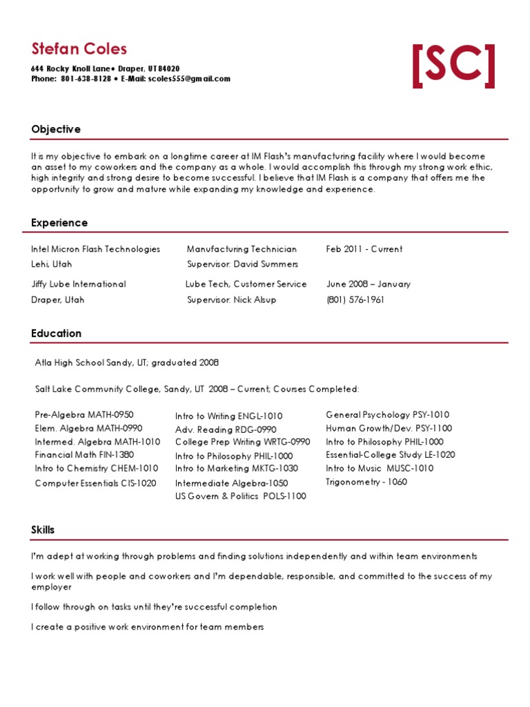 IM Flash Career Resume Template | PDF