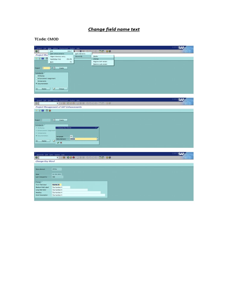 SAP Change Field Name Text | PDF