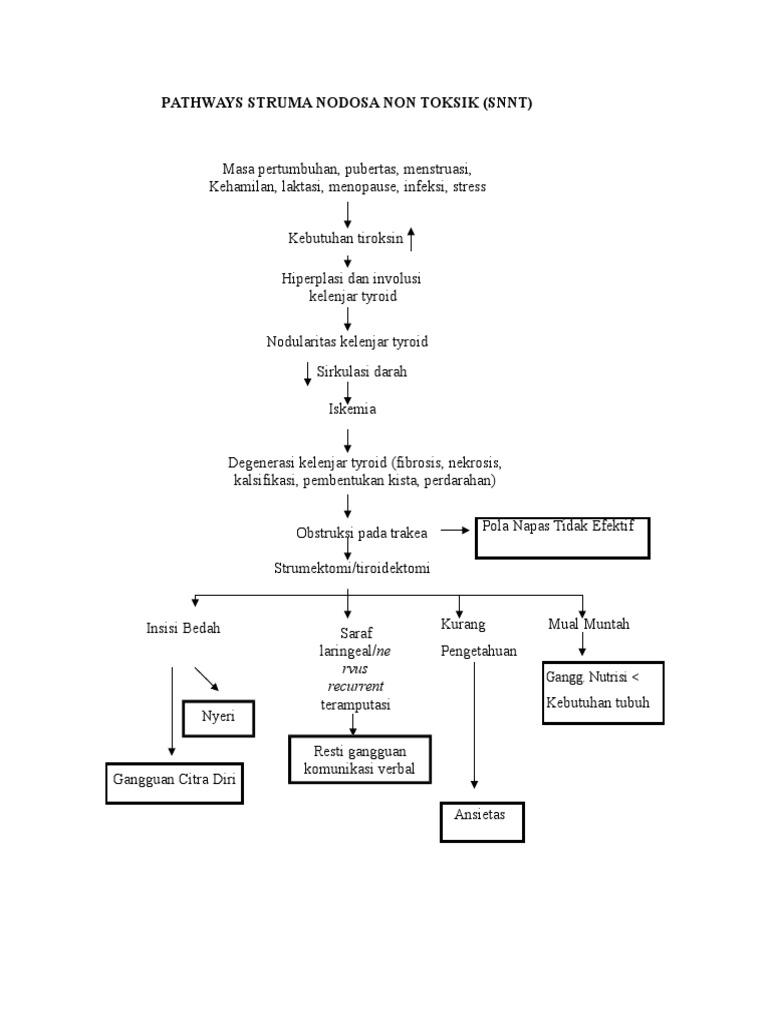 SNNT | PDF | Sains & Matematika
