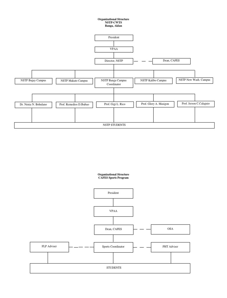 Organizational Structure Nstp-Cwts Banga, Aklan | PDF