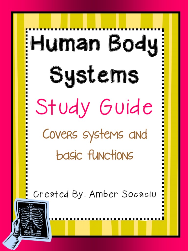 Human Body Systems: Study Guide | PDF | Blood | Muscle
