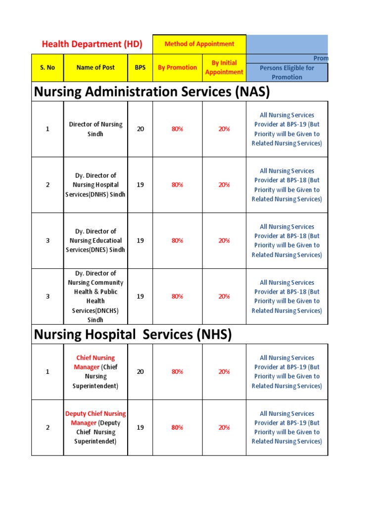 Nursing Service Structure Sindh (Designed by Nomi For Further Addition ...
