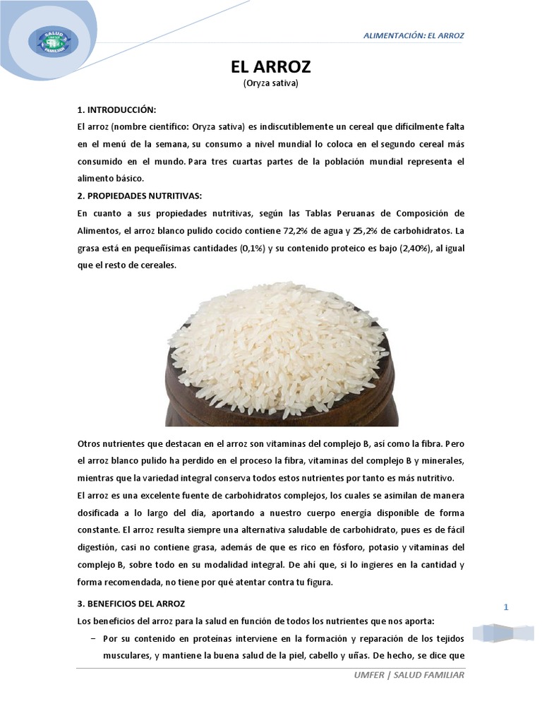 El Arroz Pdf Arroz Alimentos