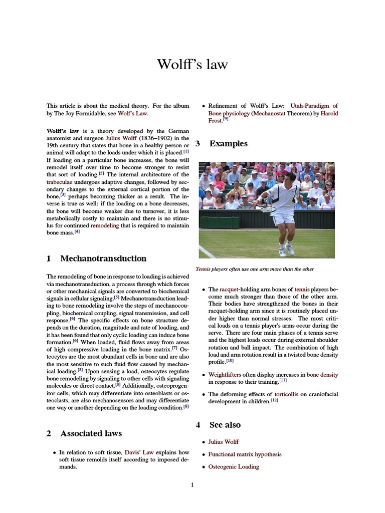 Wolff's law | Musculoskeletal System | Skeletal System