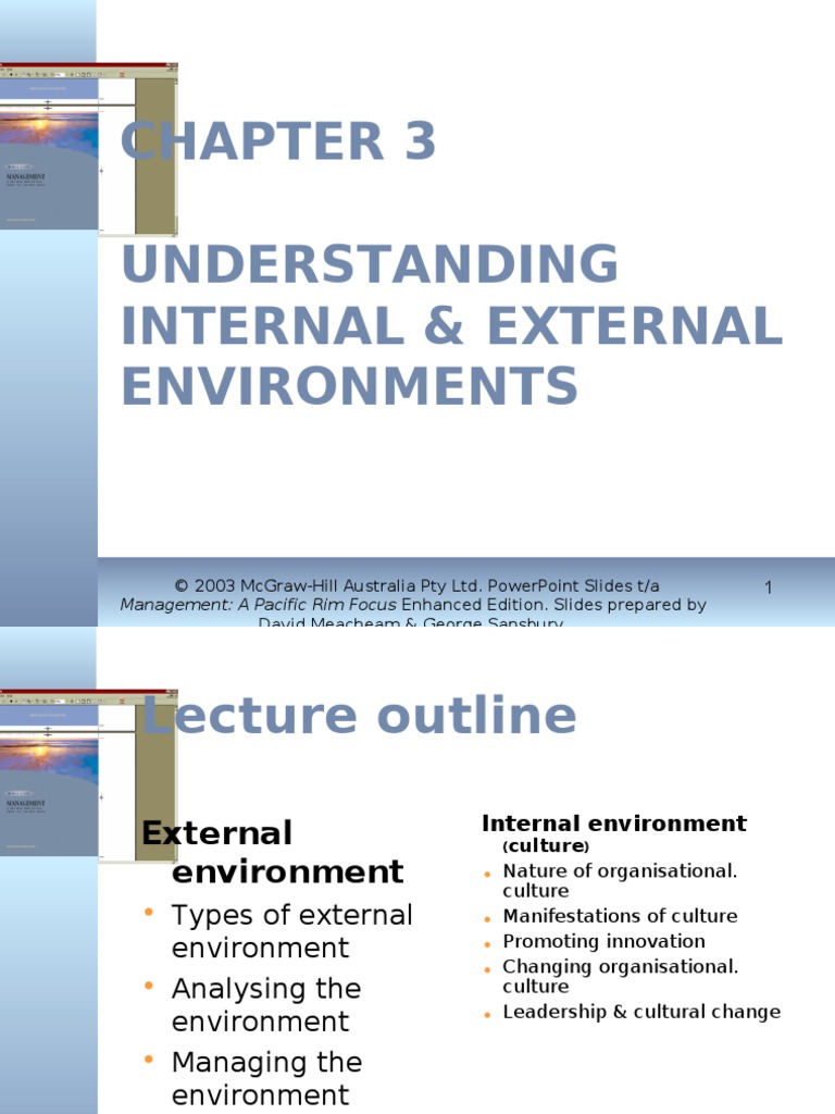 Chapter 3 Understanding Internal & External Environments | PDF ...