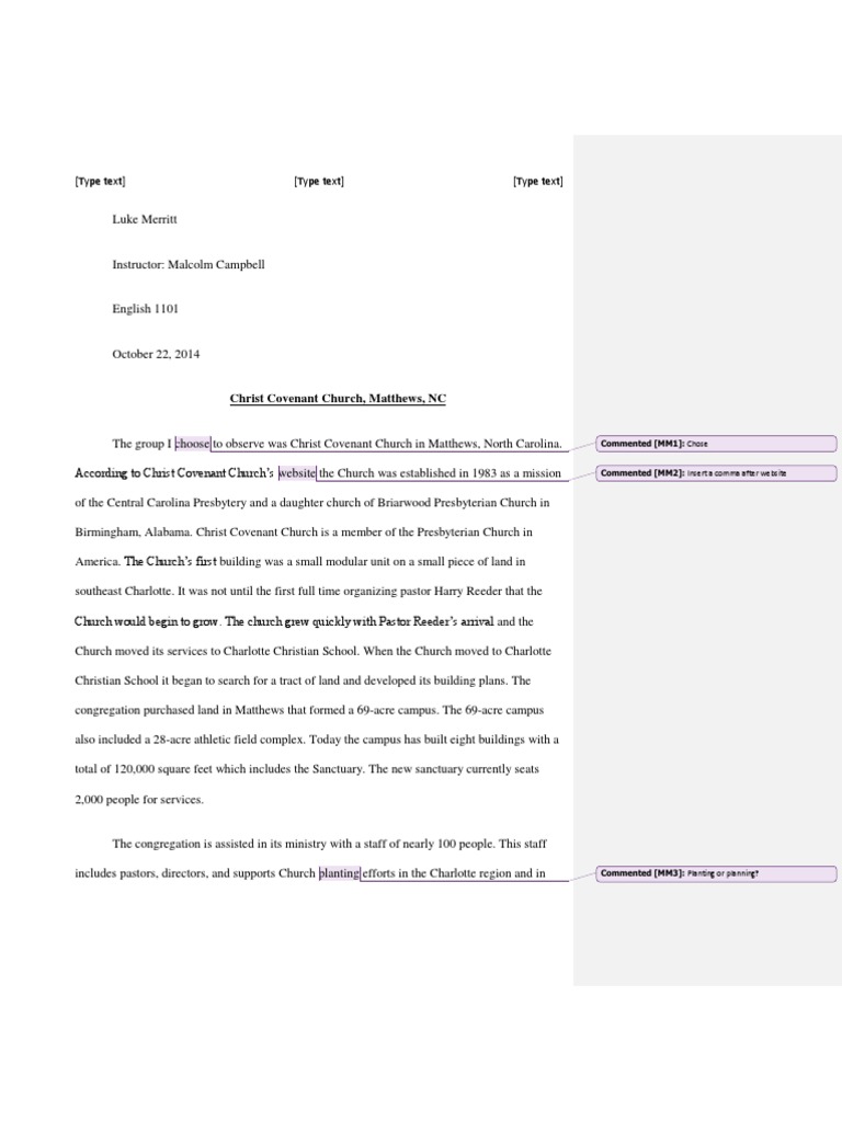 Mini Ethnography Paper Luke Peer Revision | PDF | The Gospel | Covenant ...