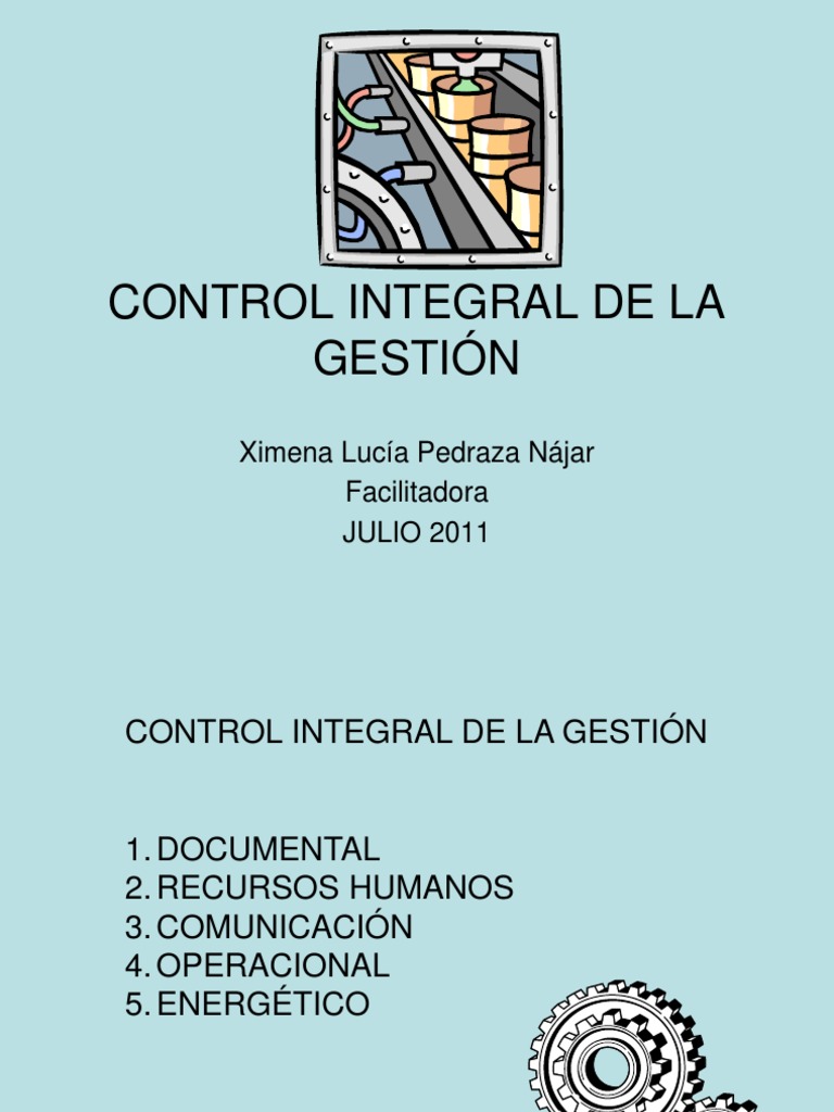 Control Integral de Gestión | PDF | Business | Economias