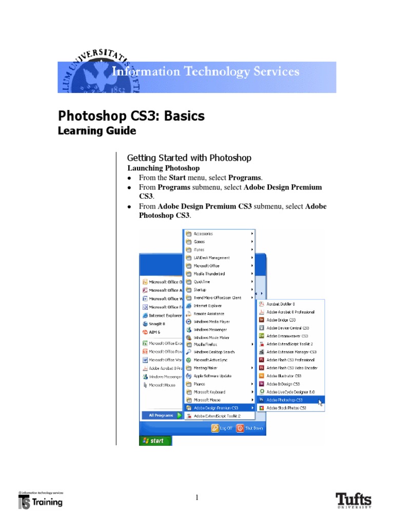Photoshop Cs 3 Basics | PDF | Digital Image | Adobe Photoshop