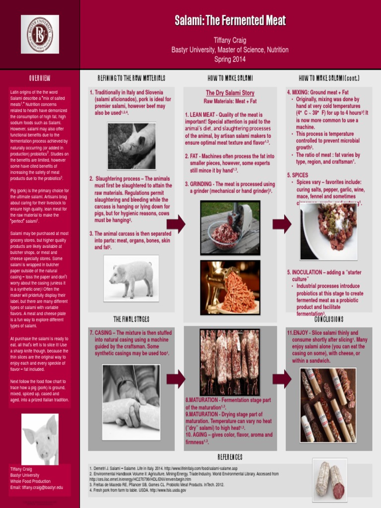 Salami Flow Chart | Meat | Animal Products