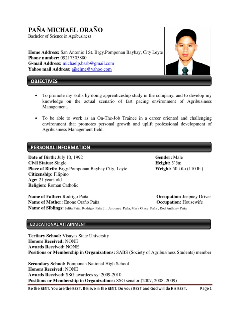 Michael CV PDF | PDF | Career & Growth