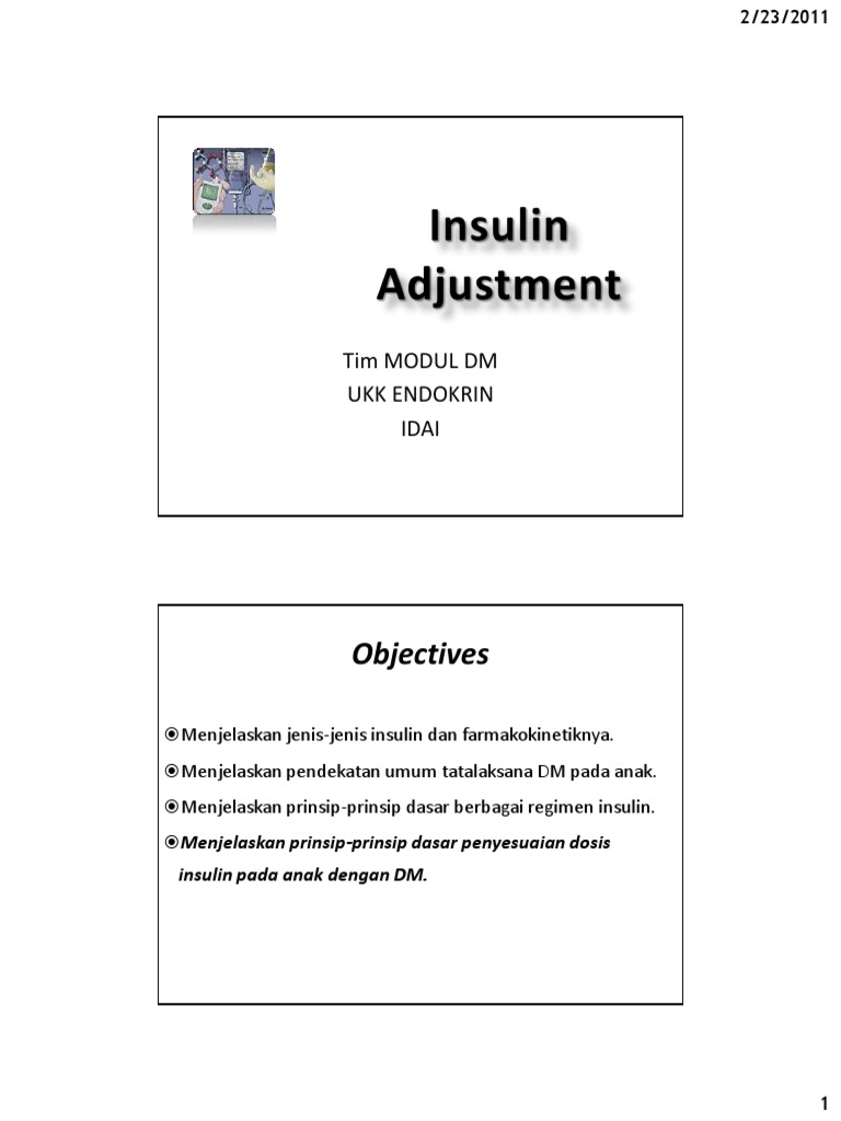 Insulin Adjustment | PDF