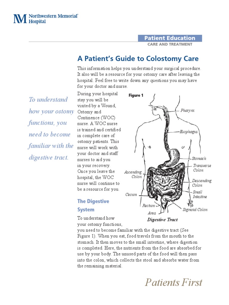 Colostomy Care Guide 09 07 PDF | PDF | Large Intestine ...