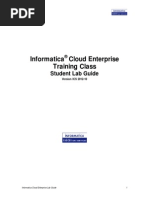 IDMC Best Practices and Standards | PDF | Cloud Computing | Java (Programming Language)