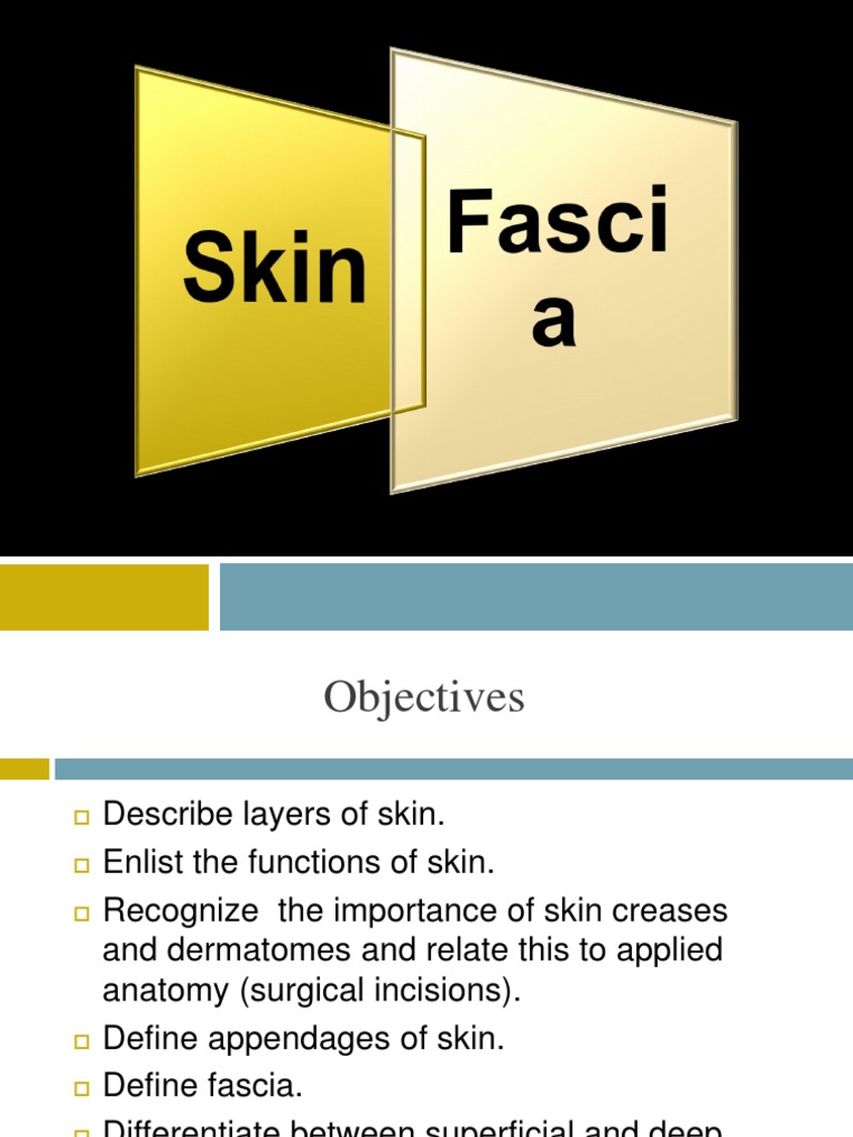 WEEK 1 - Skin and Fascia - 2 | PDF | Skin | Epidermis