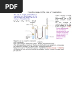 Practical 4 - Using A Simple Respirometer | PDF | Carbon Dioxide | Atmosphere Of Earth