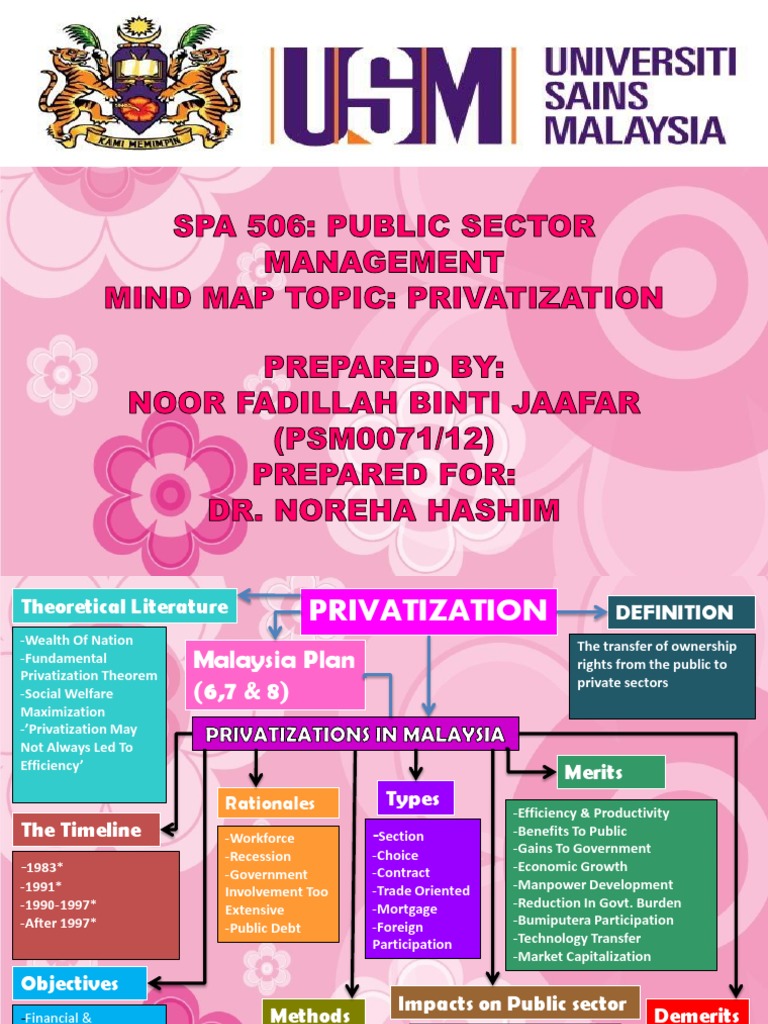 Privatization Paper Concept | PDF | Privatization | State Owned Enterprise