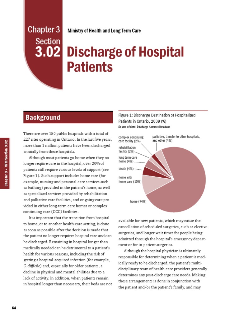 Efficient Hospital Patient Discharge Process | PDF | Patient ...