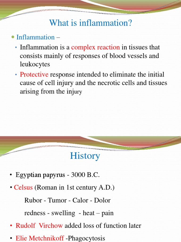 Acute Inflammation,Cell Derived and Plasma Protein Derived Mediators ...