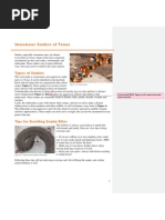 Awareness Safety Talk SNAKE HAZARDS | PDF | Snake | Venomous Snakes