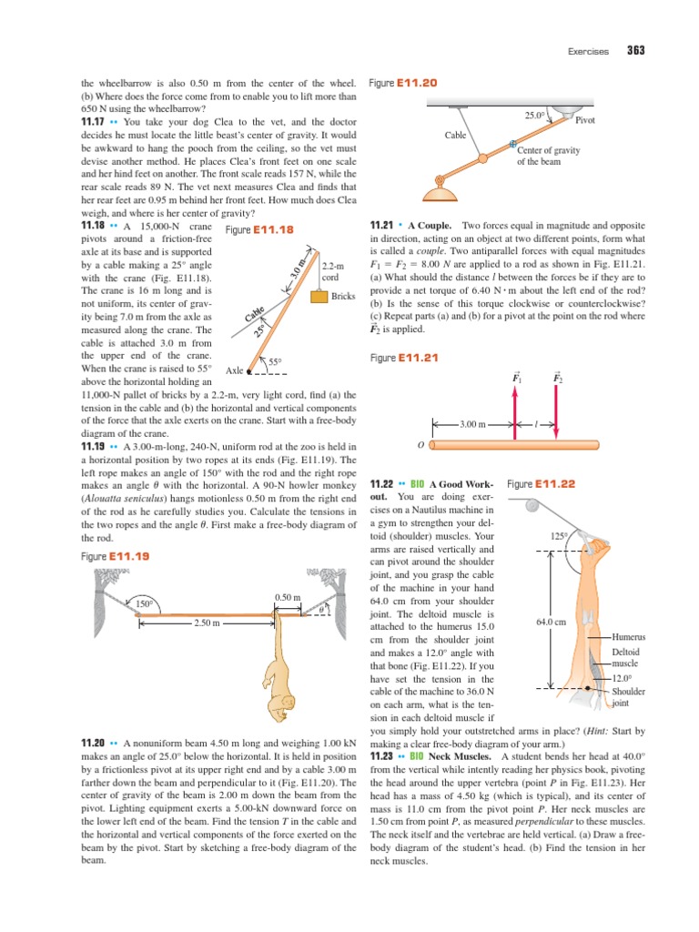 Crane Mechanics and Forces Analysis | PDF | Shoulder | Crane (Machine)