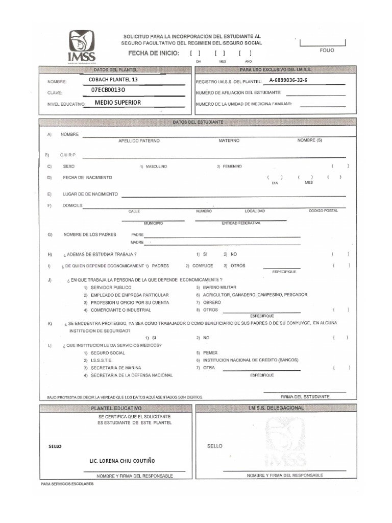 Formato Del Imss 2014 | PDF