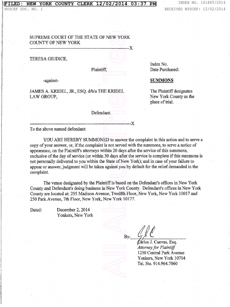 Teresa Giudice Malpractice Suit Against James Kridel | PDF