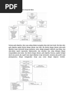 Algoritma Tatalaksana Diare Pada Anak (Besar Lengkap) | PDF