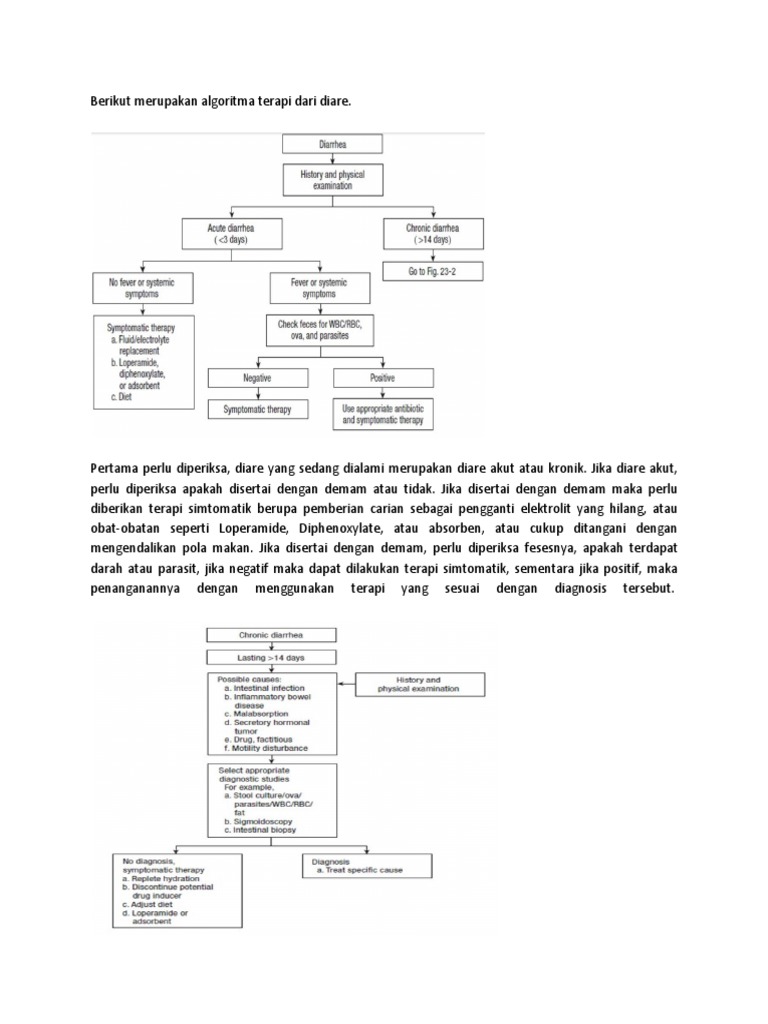 Berikut Merupakan Algoritma Terapi Dari Diare | PDF