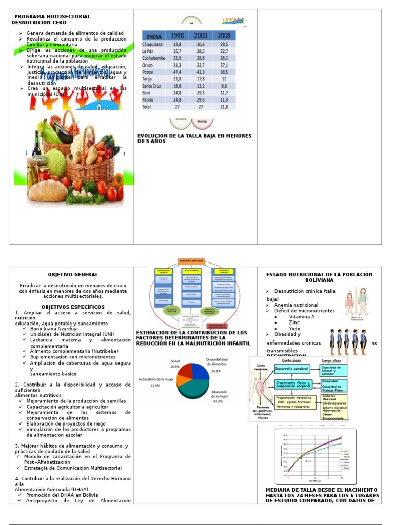 Programa De Desnutricion Cero Triptico Español Pdf Desnutrición