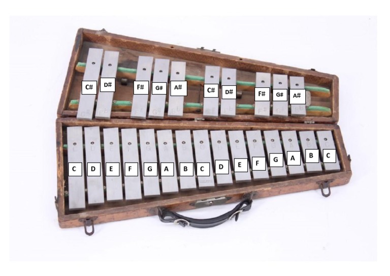 Glockenspiel With Notes Labelled | PDF