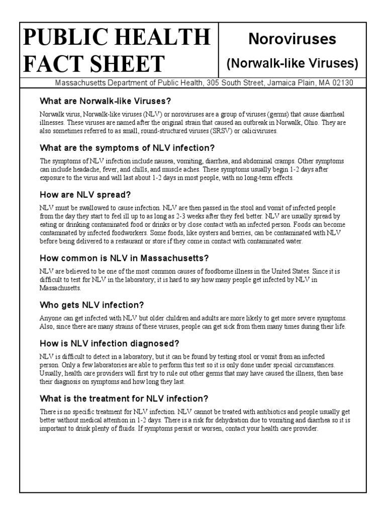 Norovirus Fact Sheet | Diarrhea | Infection