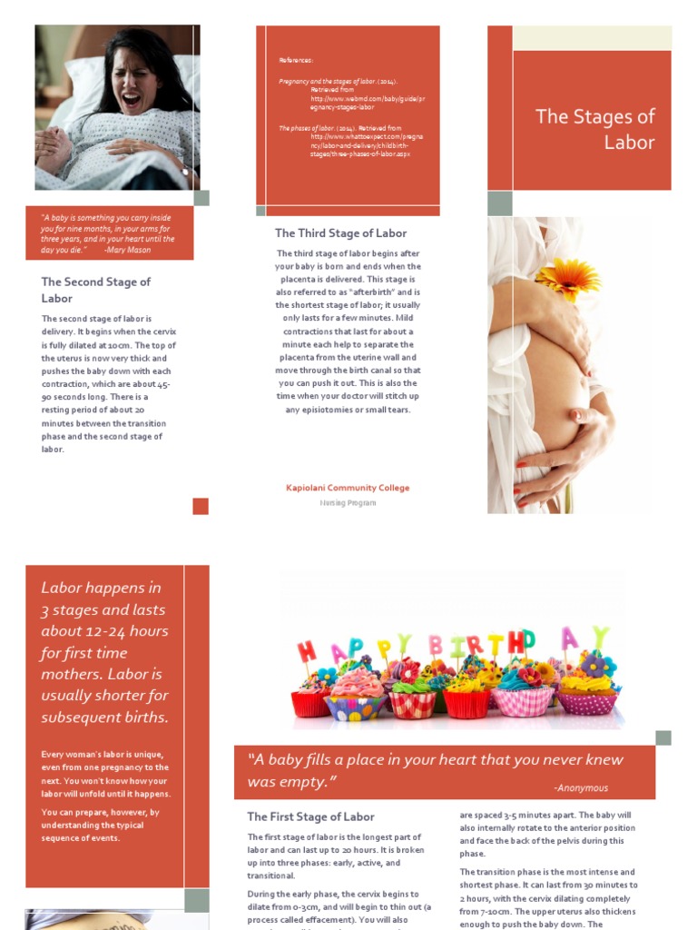 Stages of Labor Brochure | PDF | Childbirth | Female Mammals